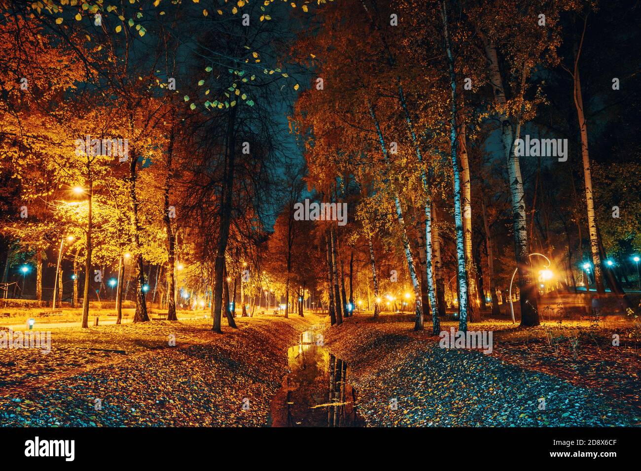 Beautiful Park At Night