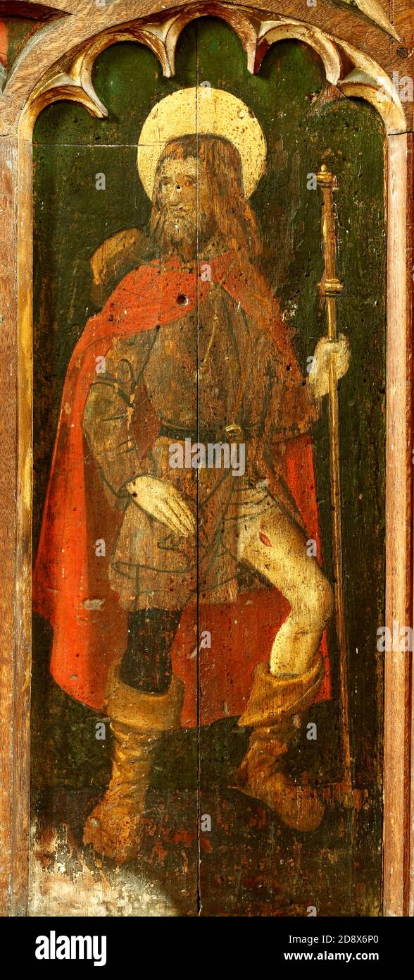 Norfolk plague sores on leg also known as st roche hi-res stock ...