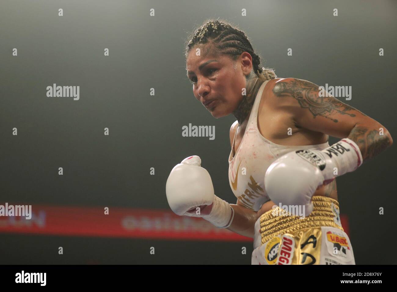 Mexican Boxers Champions