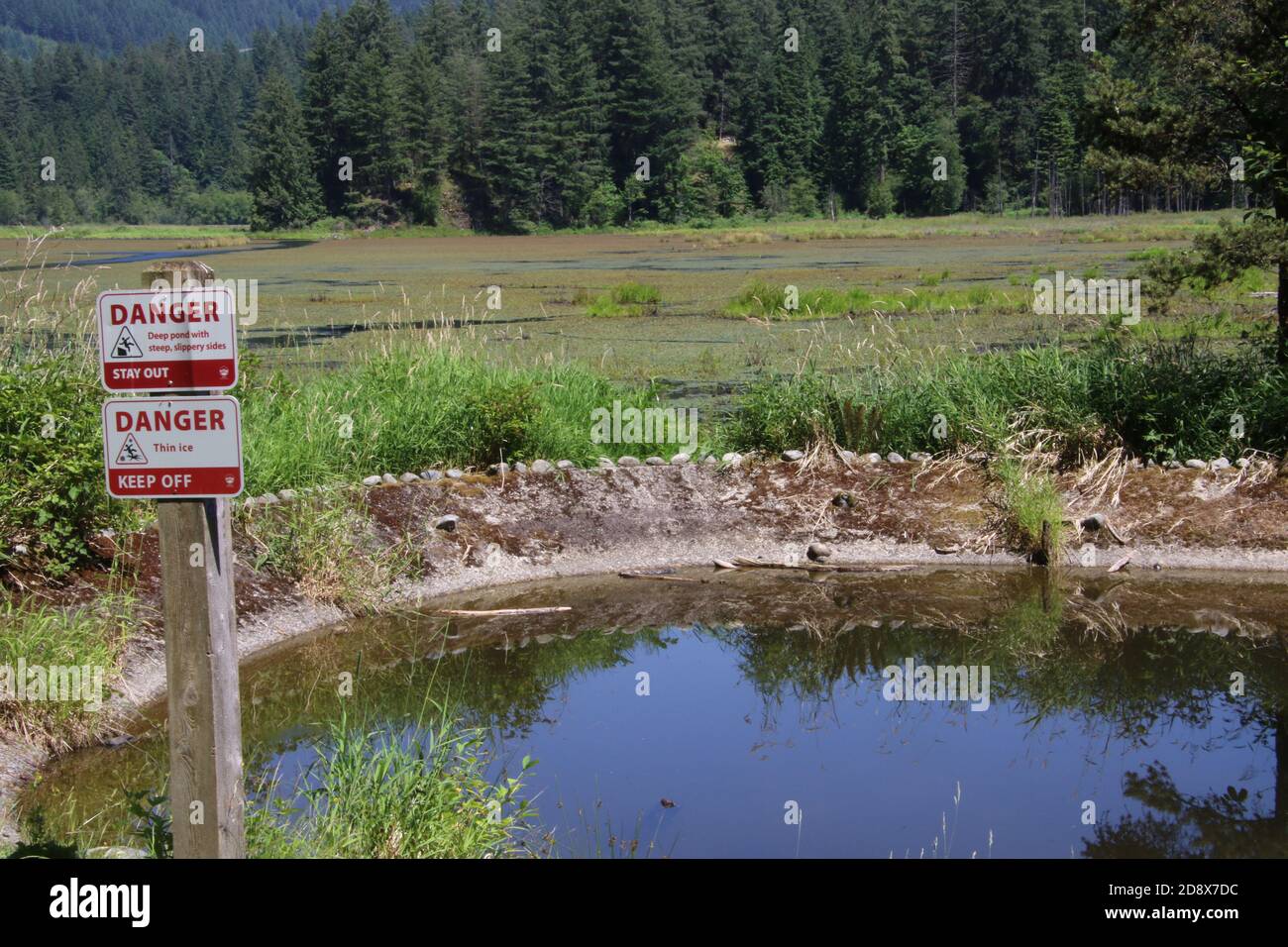 A small walled in pond with danger signs on the edge with a marsh in ...