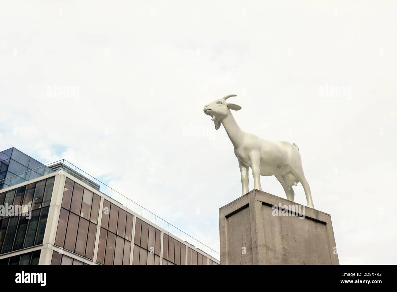 Old English Goat High Resolution Stock Photography and Images - Alamy