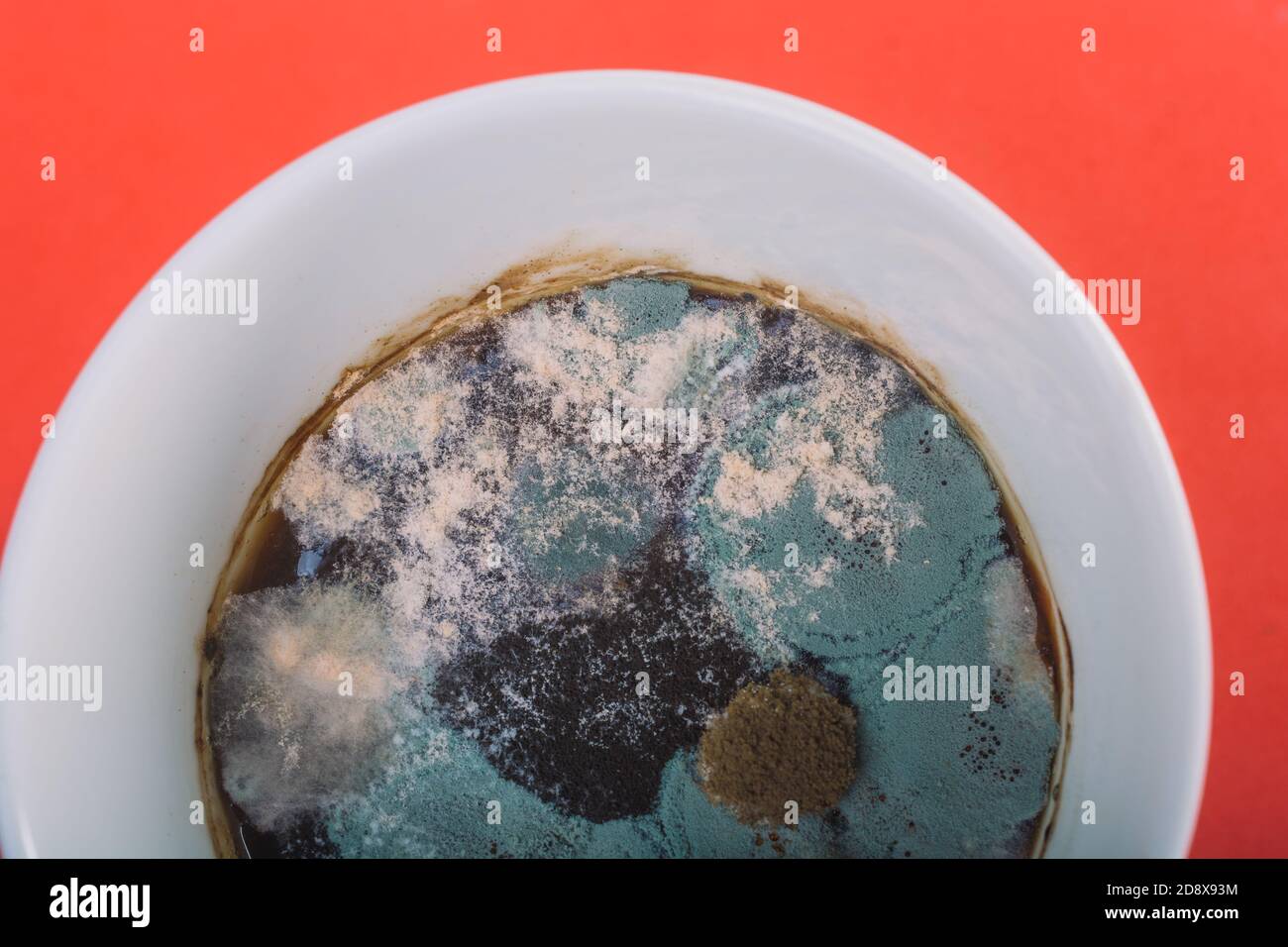 Mold on drink ın a cup.background, fungus bacteria on surface Stock ...