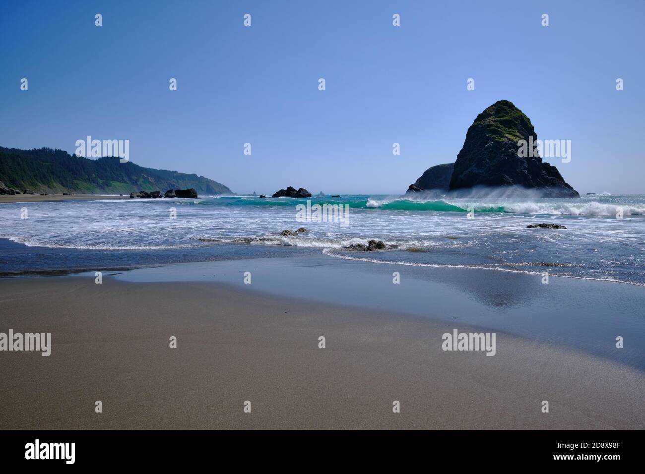 As green waves break on deserted Whaleshead Beach in Oregon's Samuel H ...