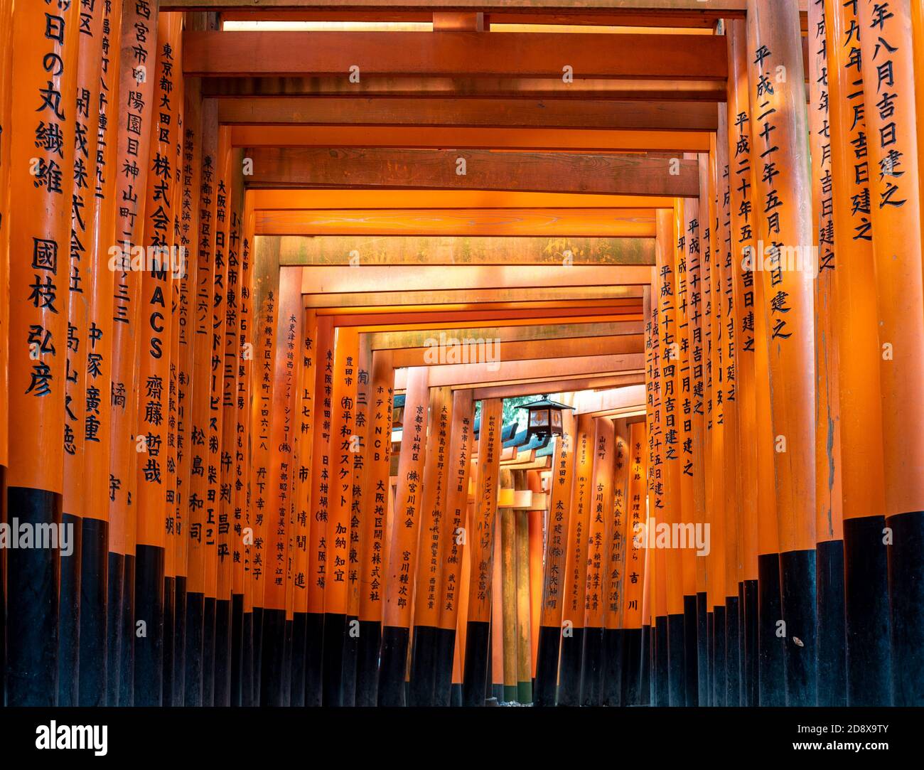 Torii path lined with thousands of torii in the Fushimi Inari Taisha ...