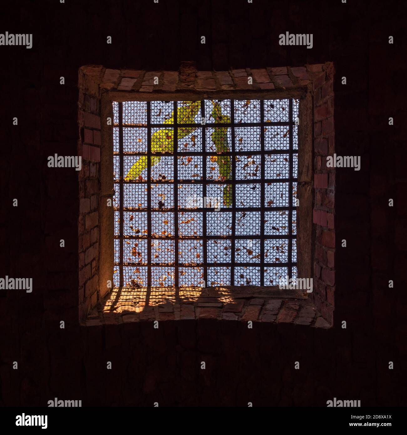 View through barred prison hi-res stock photography and images - Alamy