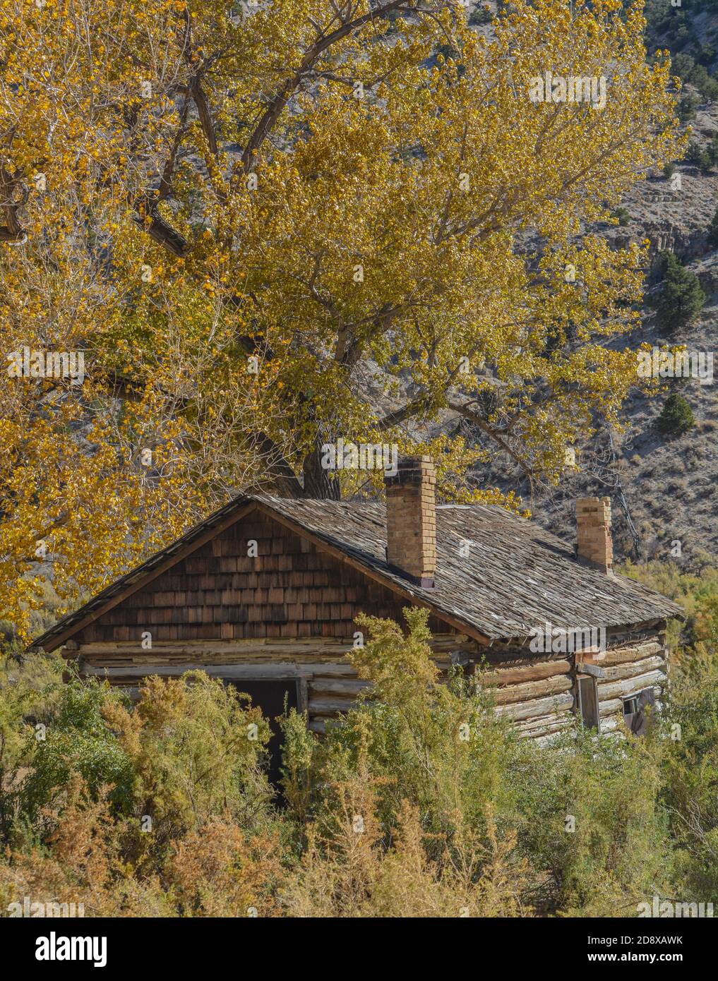 Old unoccupied, abandoned cabin in the overgrown wilderness of Utah ...