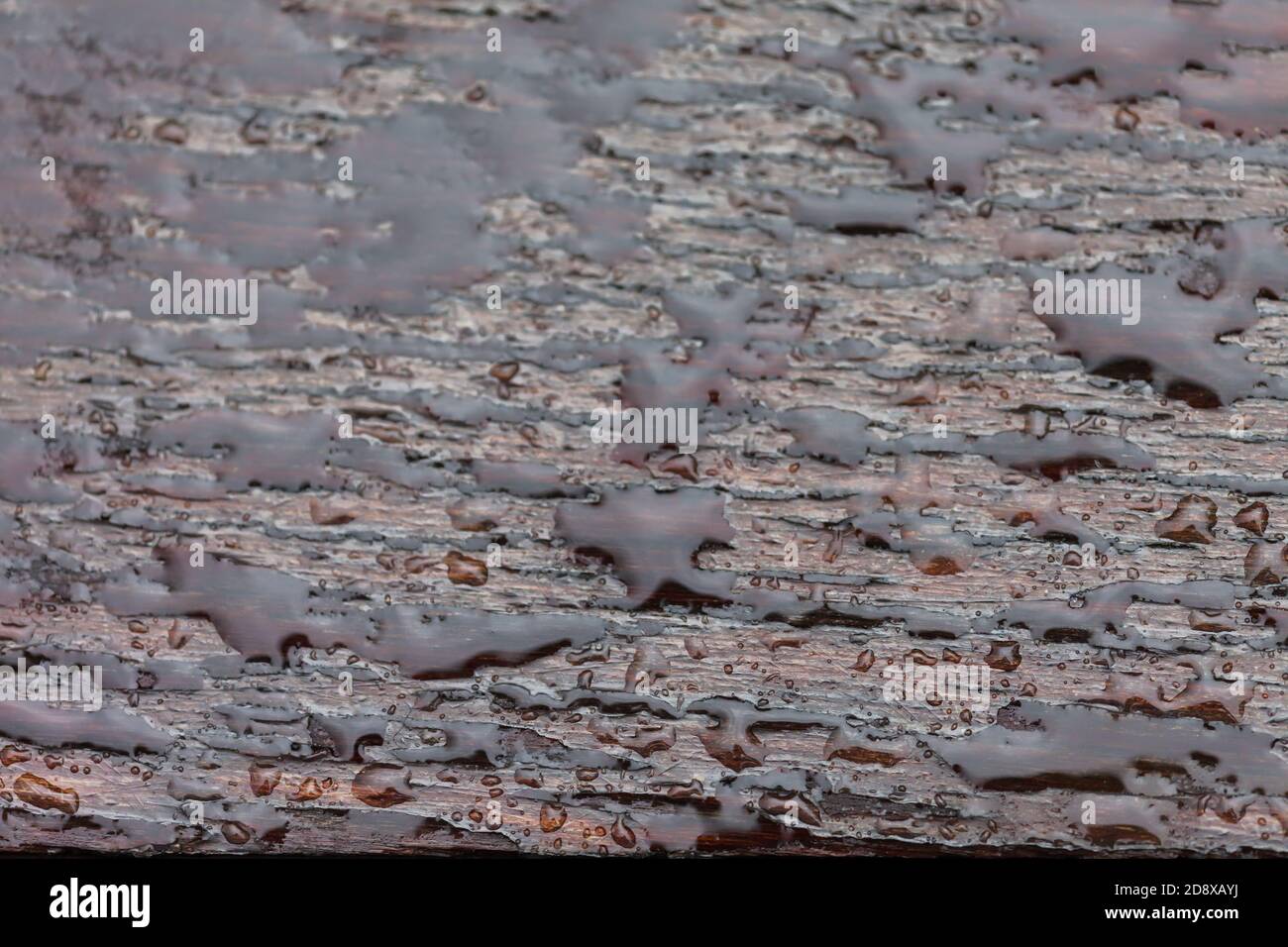 Depth Of Field Puddle High Resolution Stock Photography and Images - Alamy