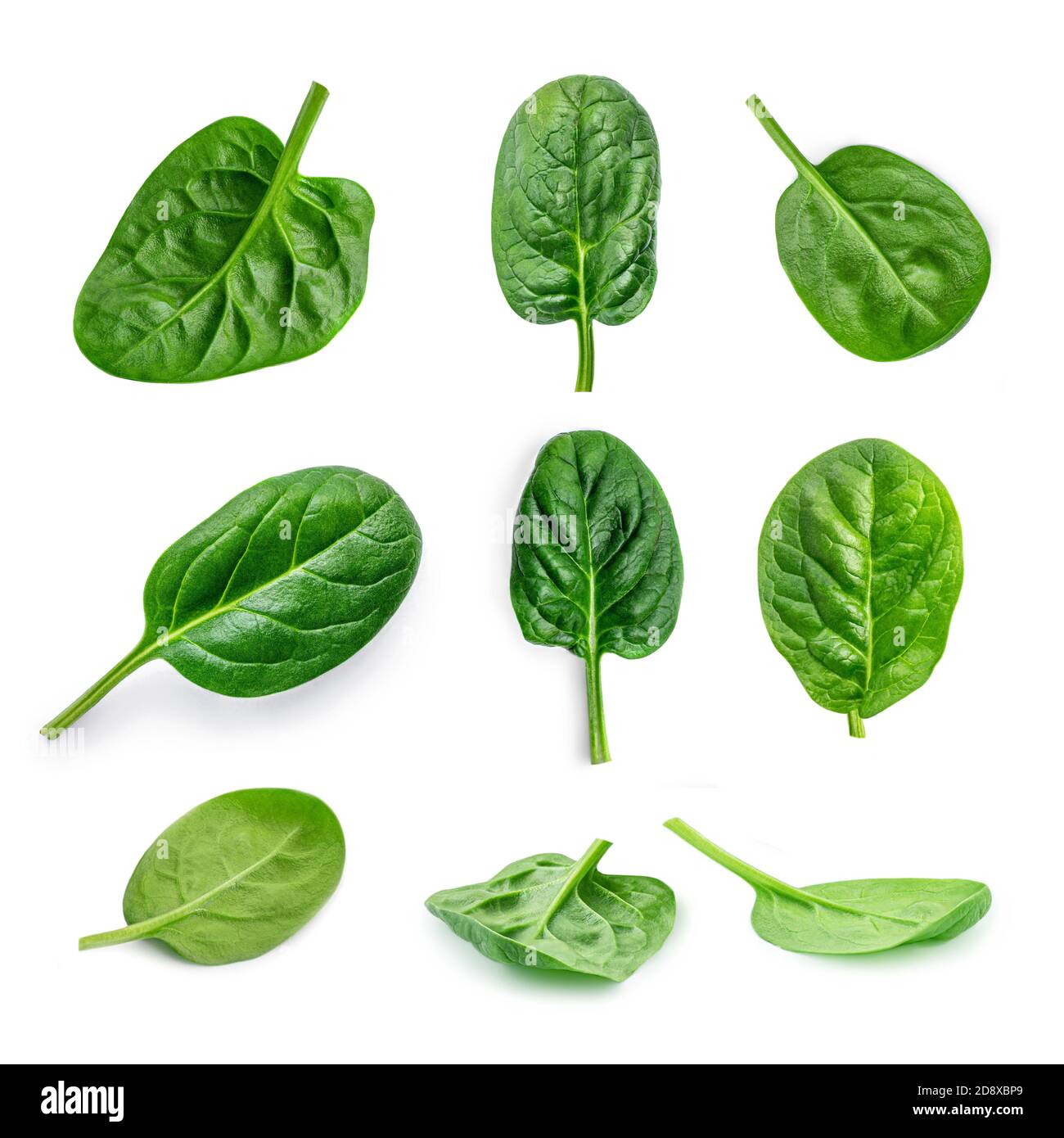 Spinach. Creative layout made of Spinach leaves isolated on white ...