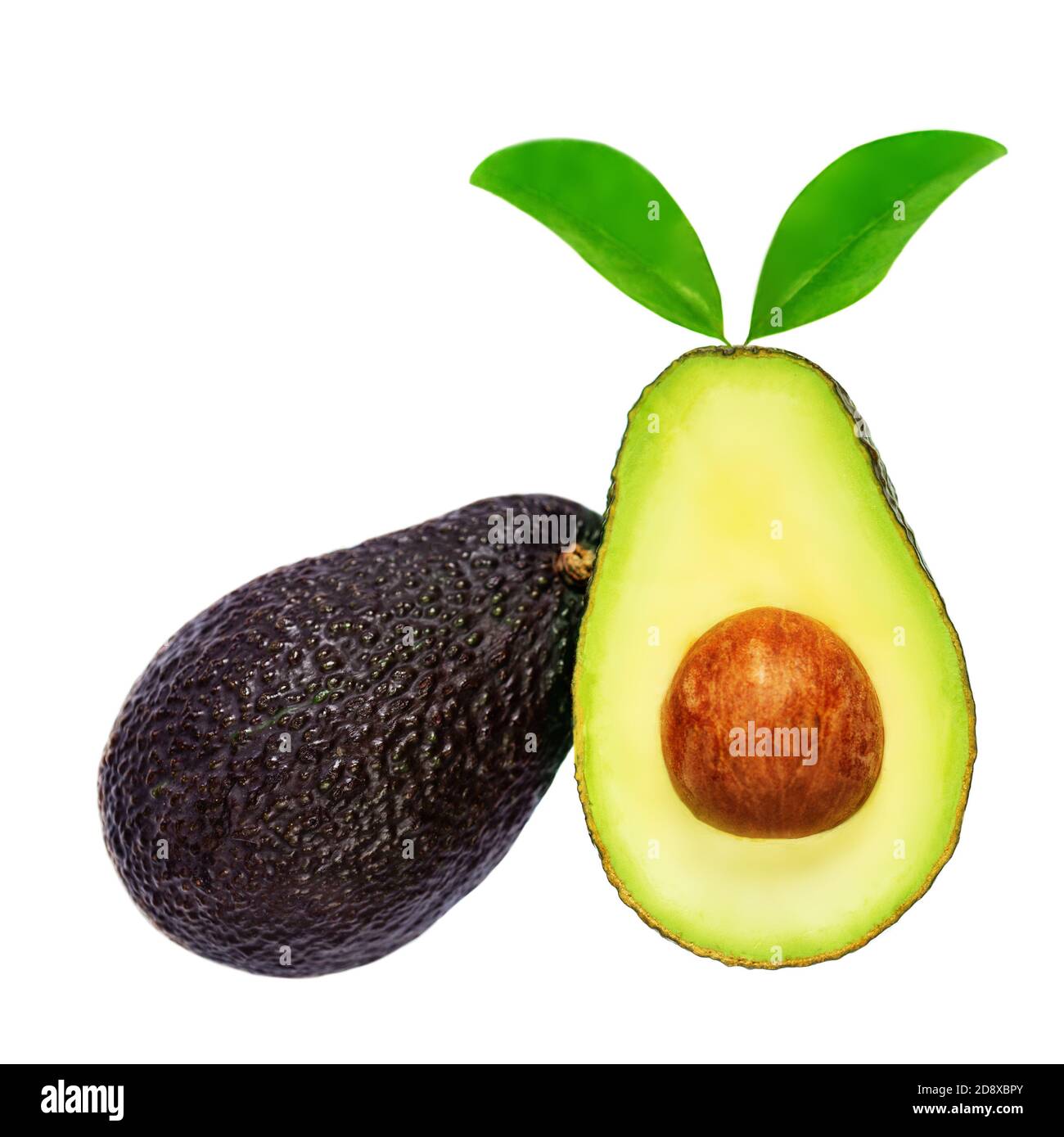 Whole and cut in half avocado isolated on white background. Organic ...
