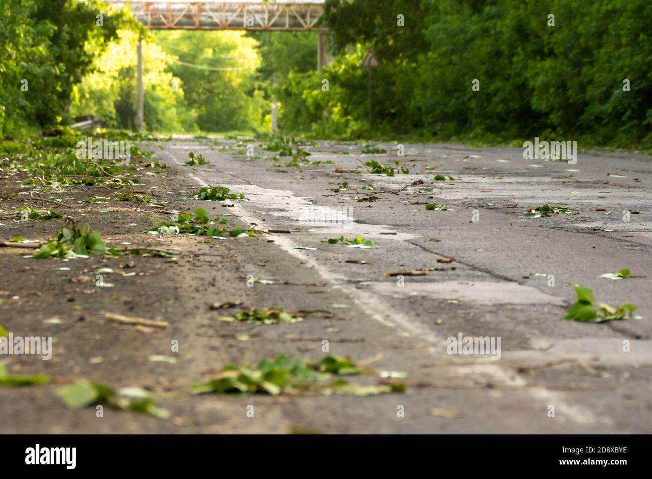 Tree fallen across road hi-res stock photography and images - Alamy