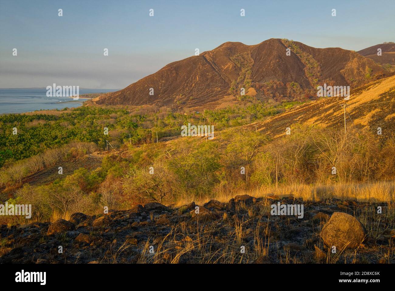 Lembata harpoon hi-res stock photography and images - Alamy