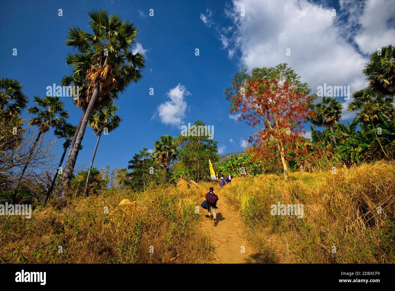 Lembata harpoon hi-res stock photography and images - Alamy