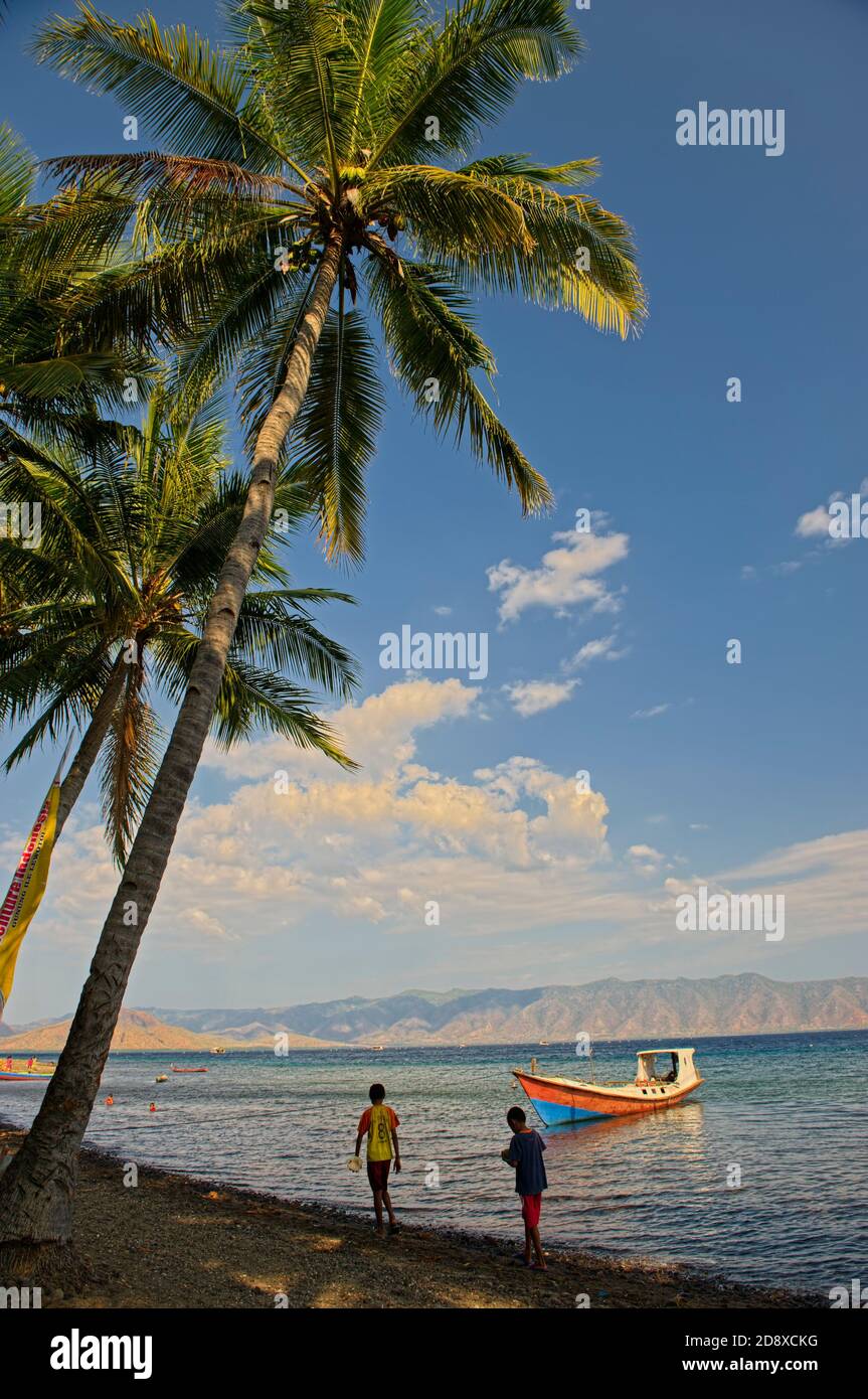 Lembata hi-res stock photography and images - Alamy