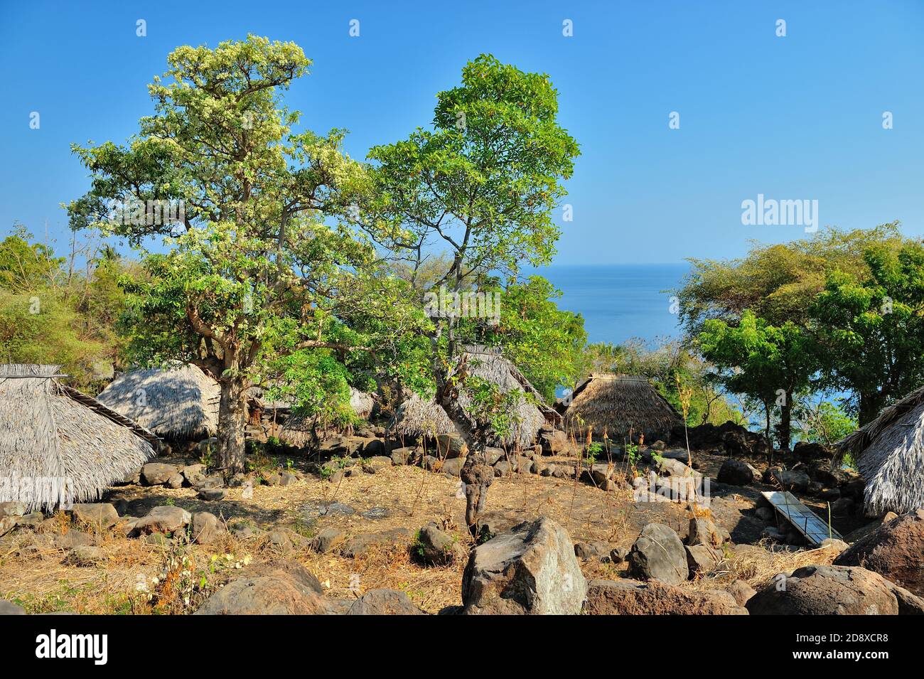 Lembata harpoon hi-res stock photography and images - Alamy