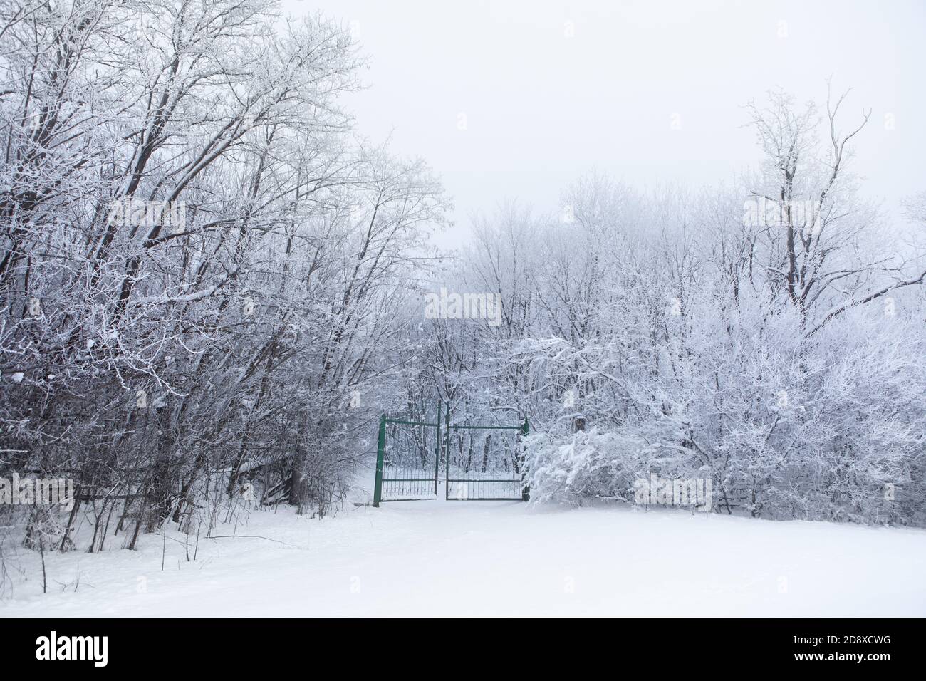 gate of forest reserve in winter Stock Photo - Alamy