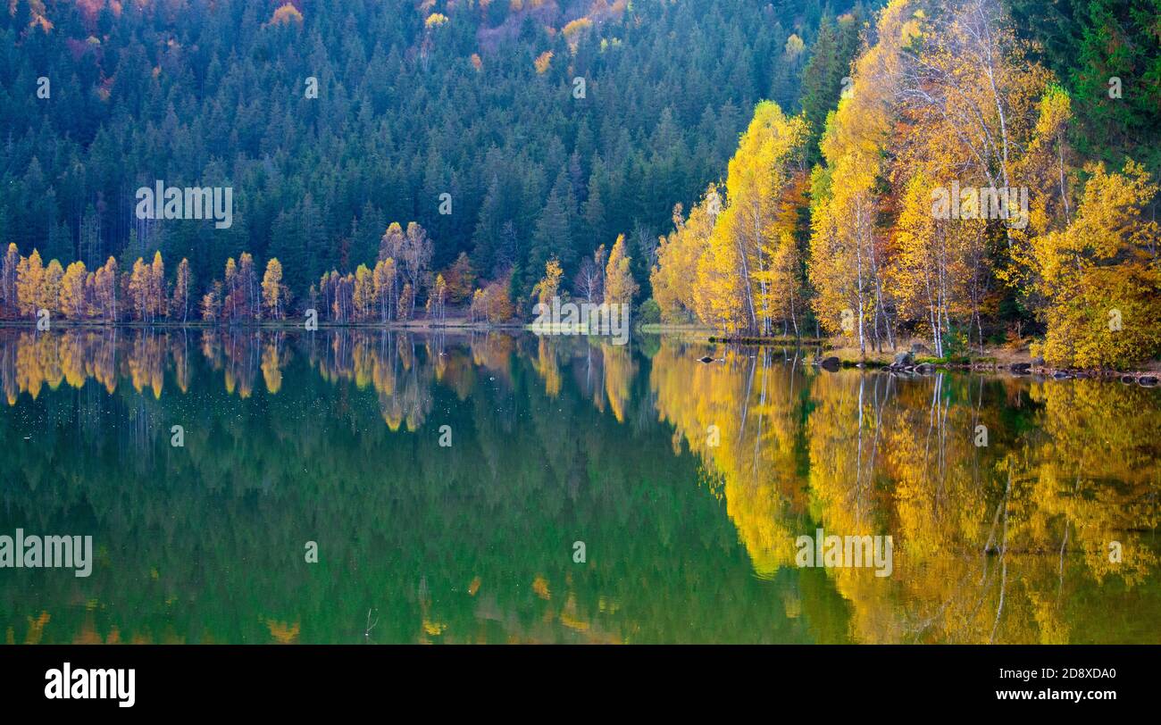 Reflection of the autumn trees on the Sfanta Ana lake in Romania Stock ...