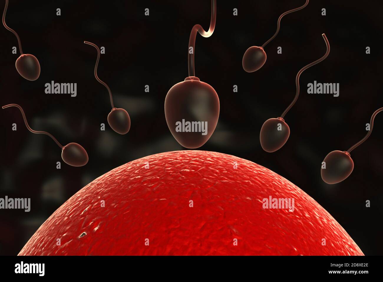 Ejaculation hi-res stock photography and images - Alamy