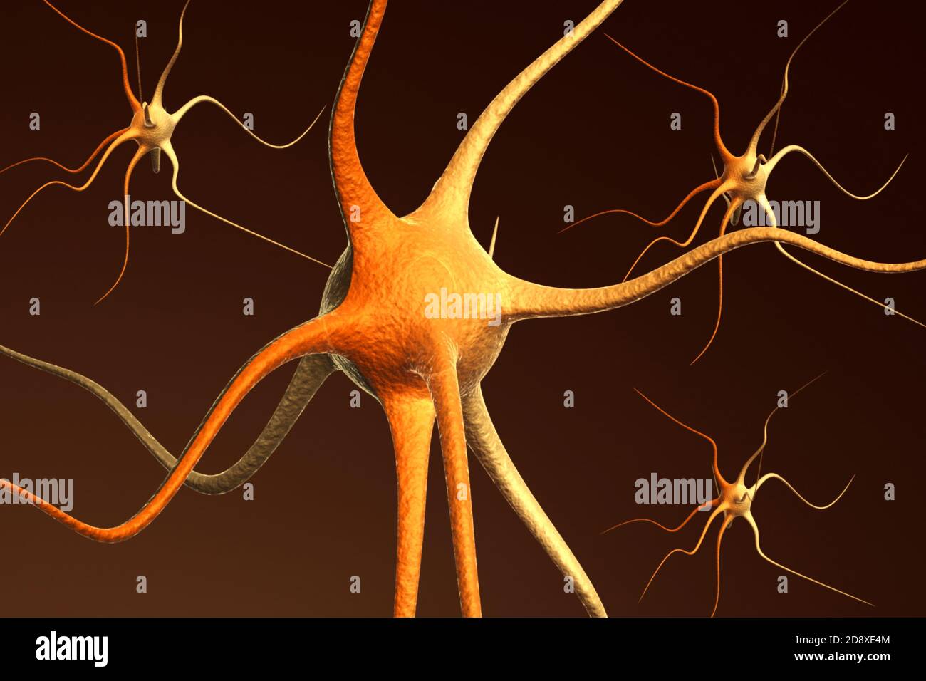 Close-up render of neuron brain cells Stock Photo - Alamy