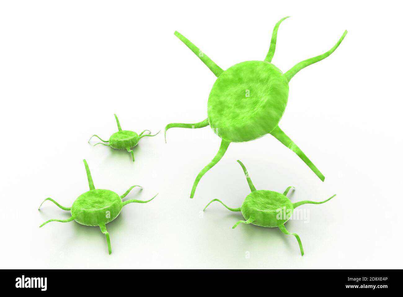 Thingy hi-res stock photography and images - Alamy