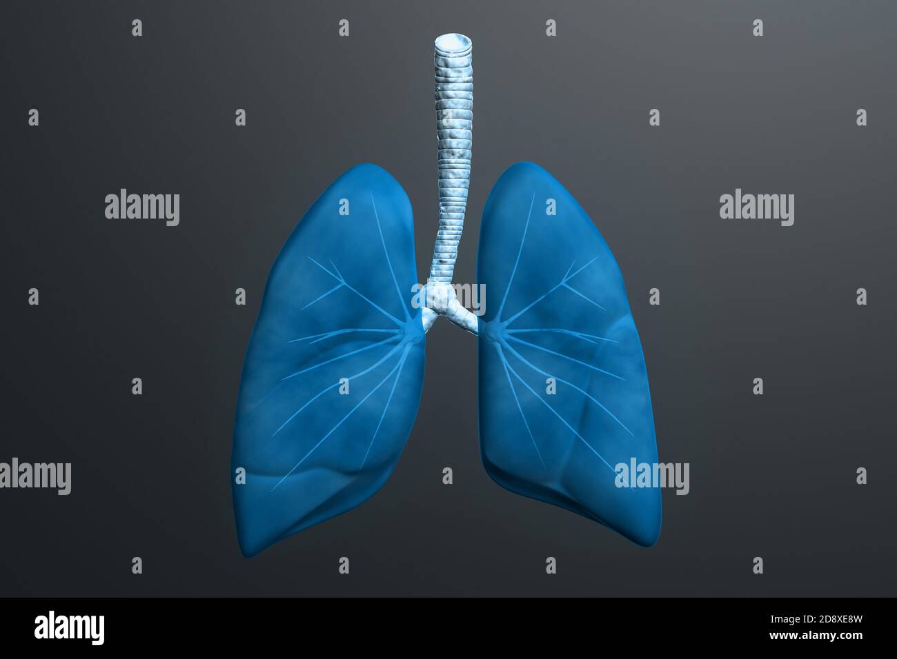 Human lungs in color background Stock Photo - Alamy