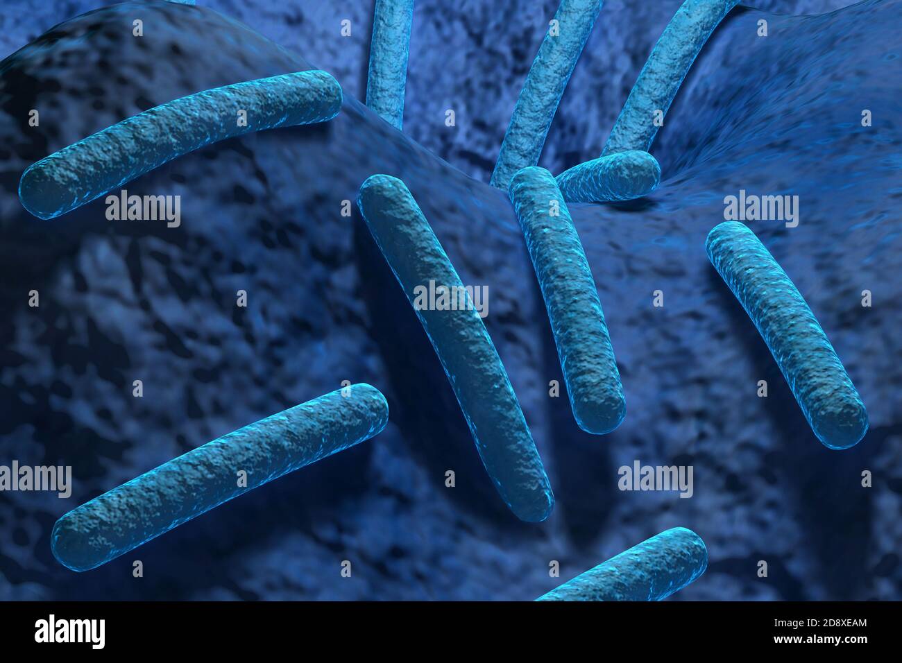 Microbes Human Sem High Resolution Stock Photography and Images - Alamy