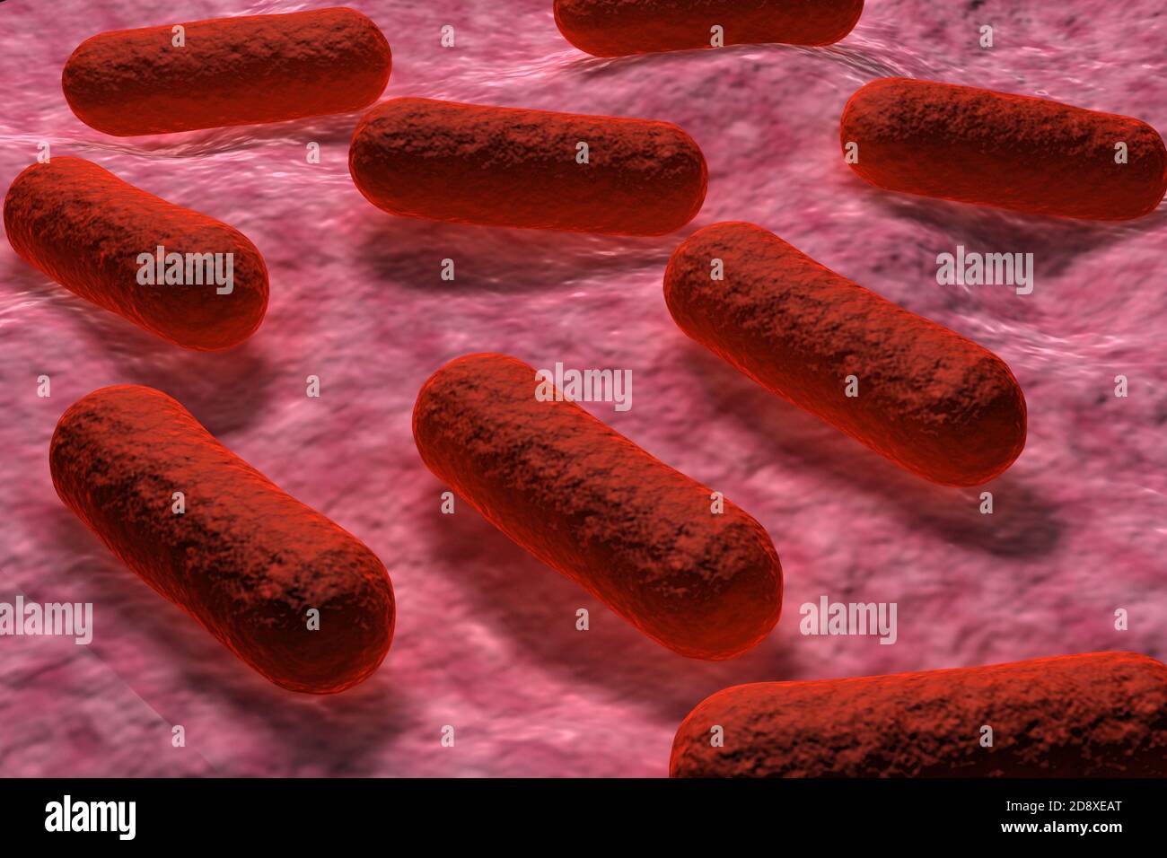 Parasitic bacteria hi-res stock photography and images - Alamy