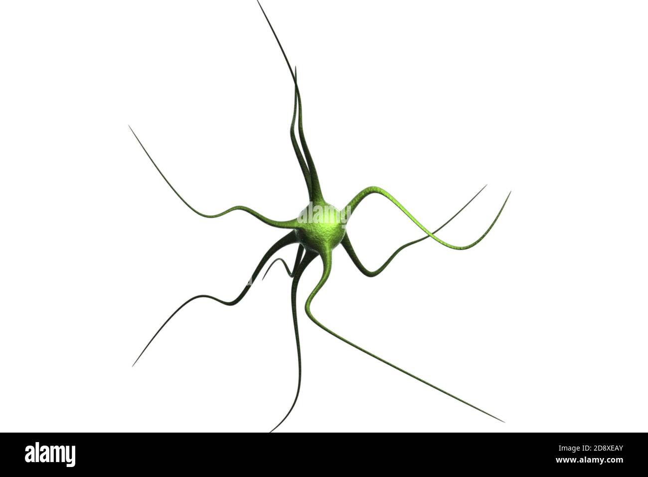 3d rendered neuron on white background Stock Photo - Alamy