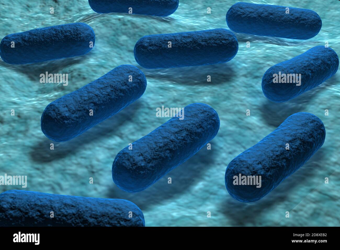 E coli Bacteria Stock Photo - Alamy