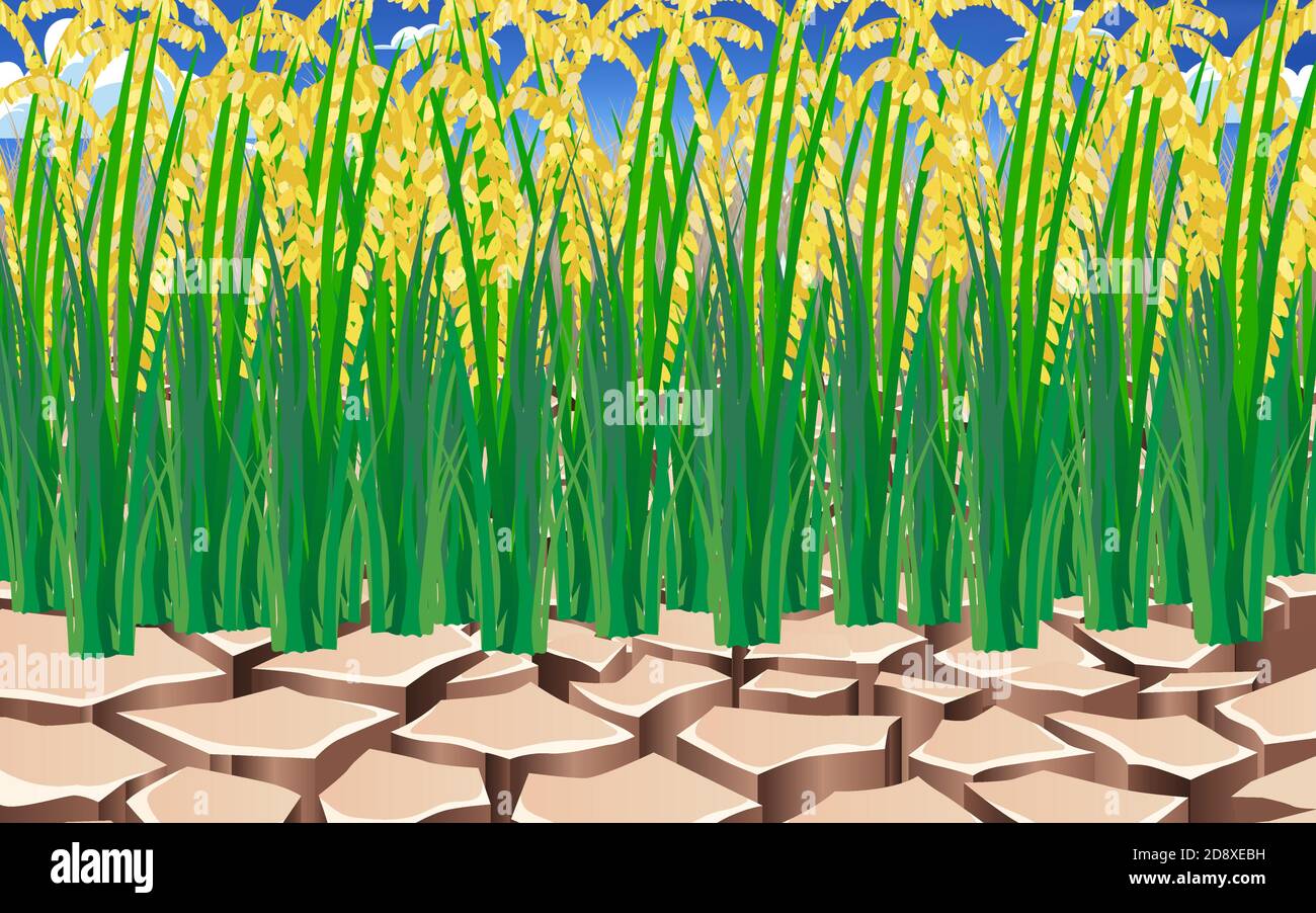 Dry soil grass Stock Vector Images - Alamy