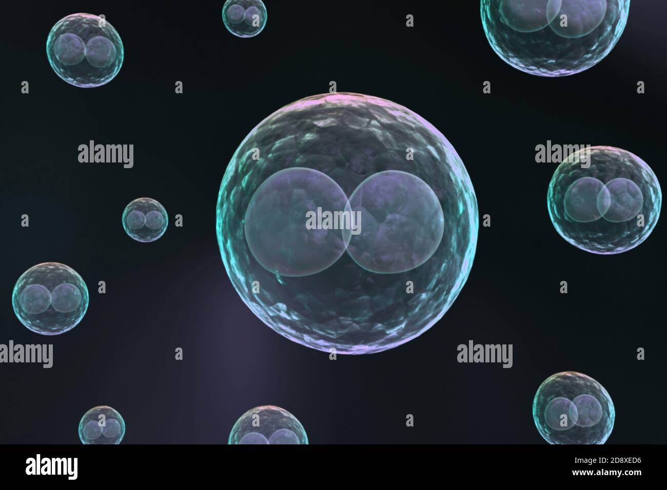 Biological cells hi-res stock photography and images - Alamy