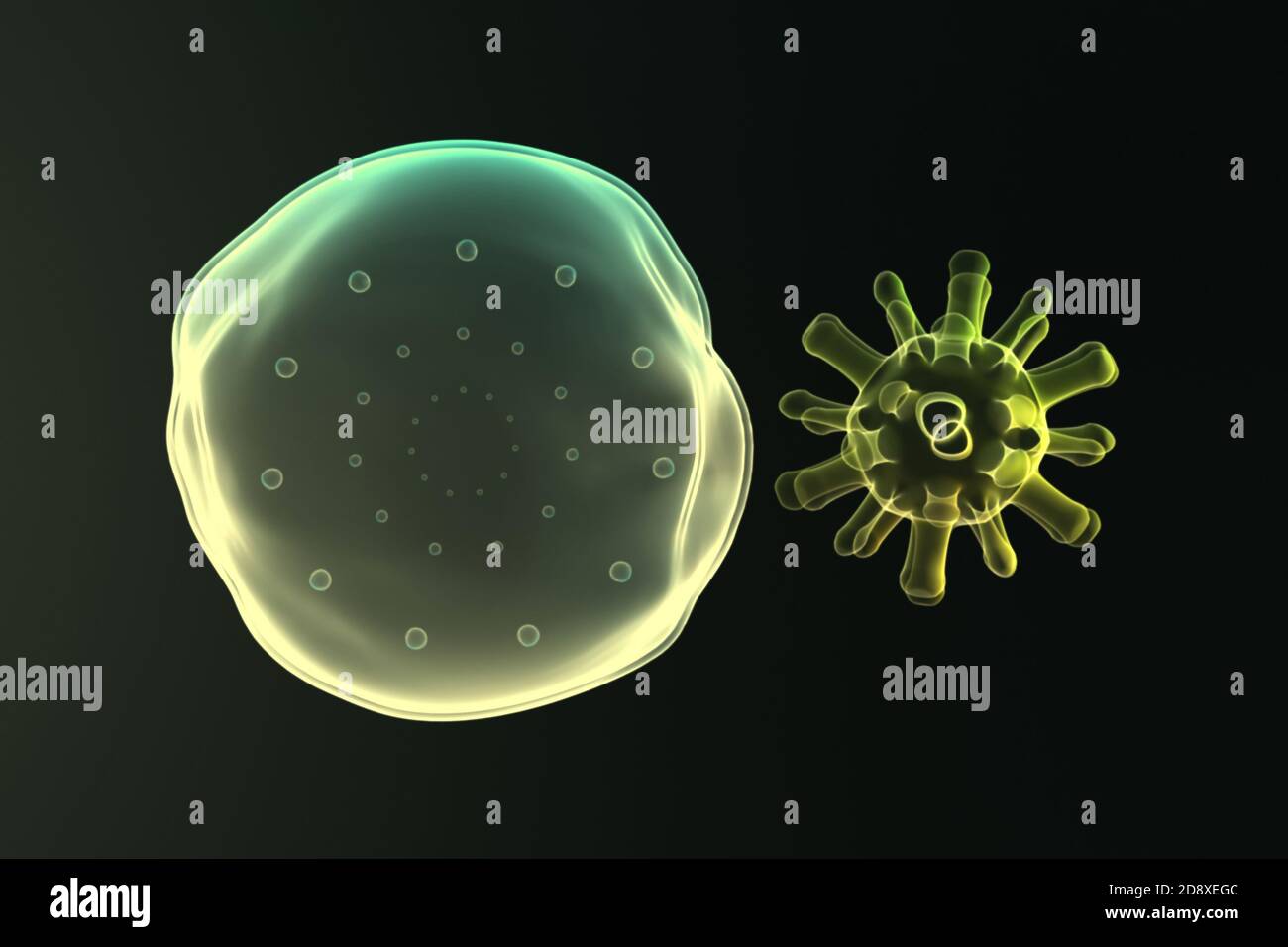 virus infecting a cell Stock Photo - Alamy