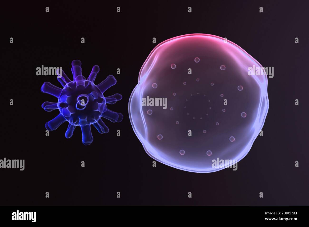 virus infecting a cell Stock Photo - Alamy