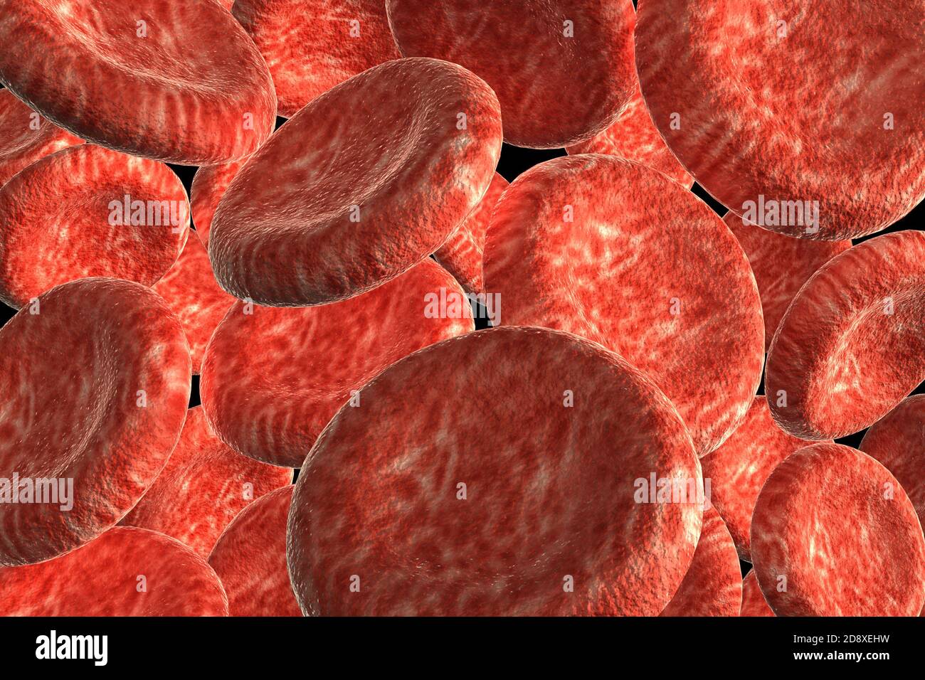 Red blood cells flowing inside hi-res stock photography and images - Alamy