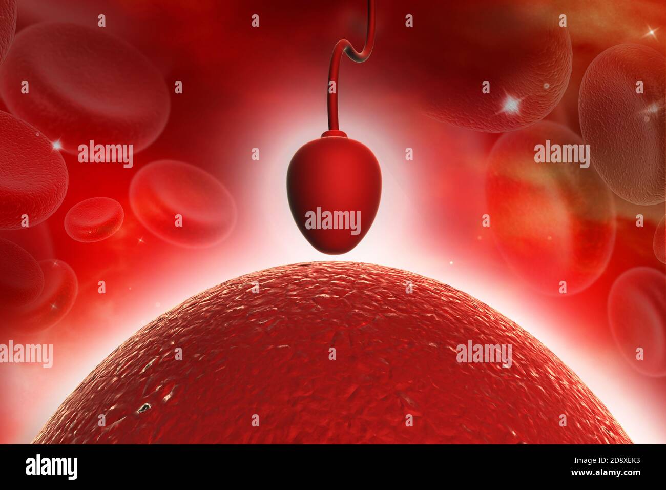Sperm cell hi-res stock photography and images - Alamy