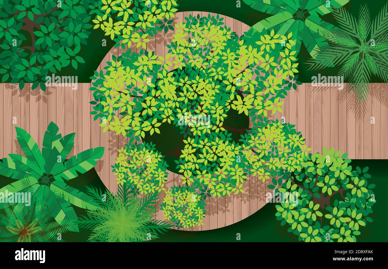 Tree root bridge Stock Vector Images - Alamy