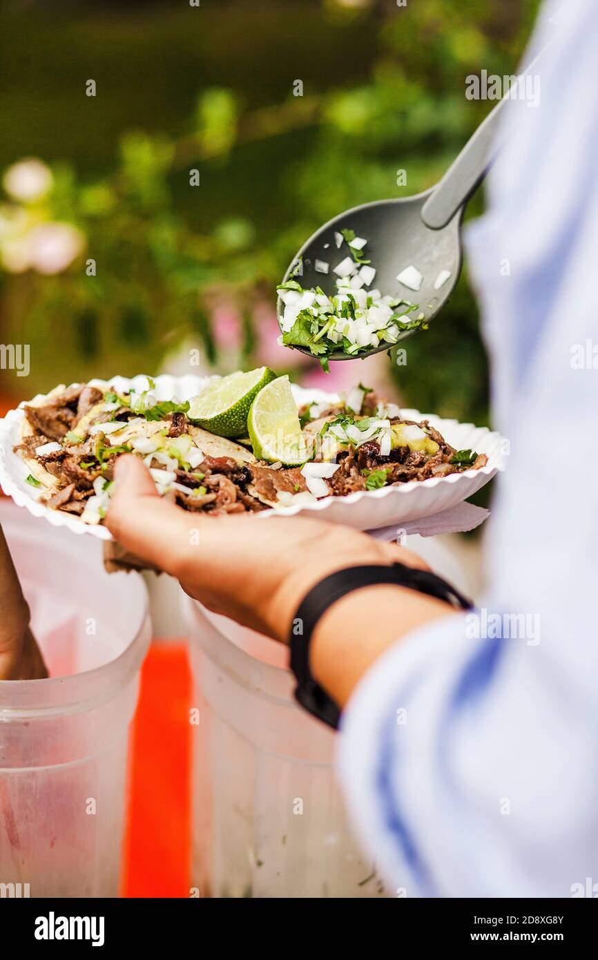 Mexican People eating tacos al pastor in Taqueria in Mexico Stock Photo ...