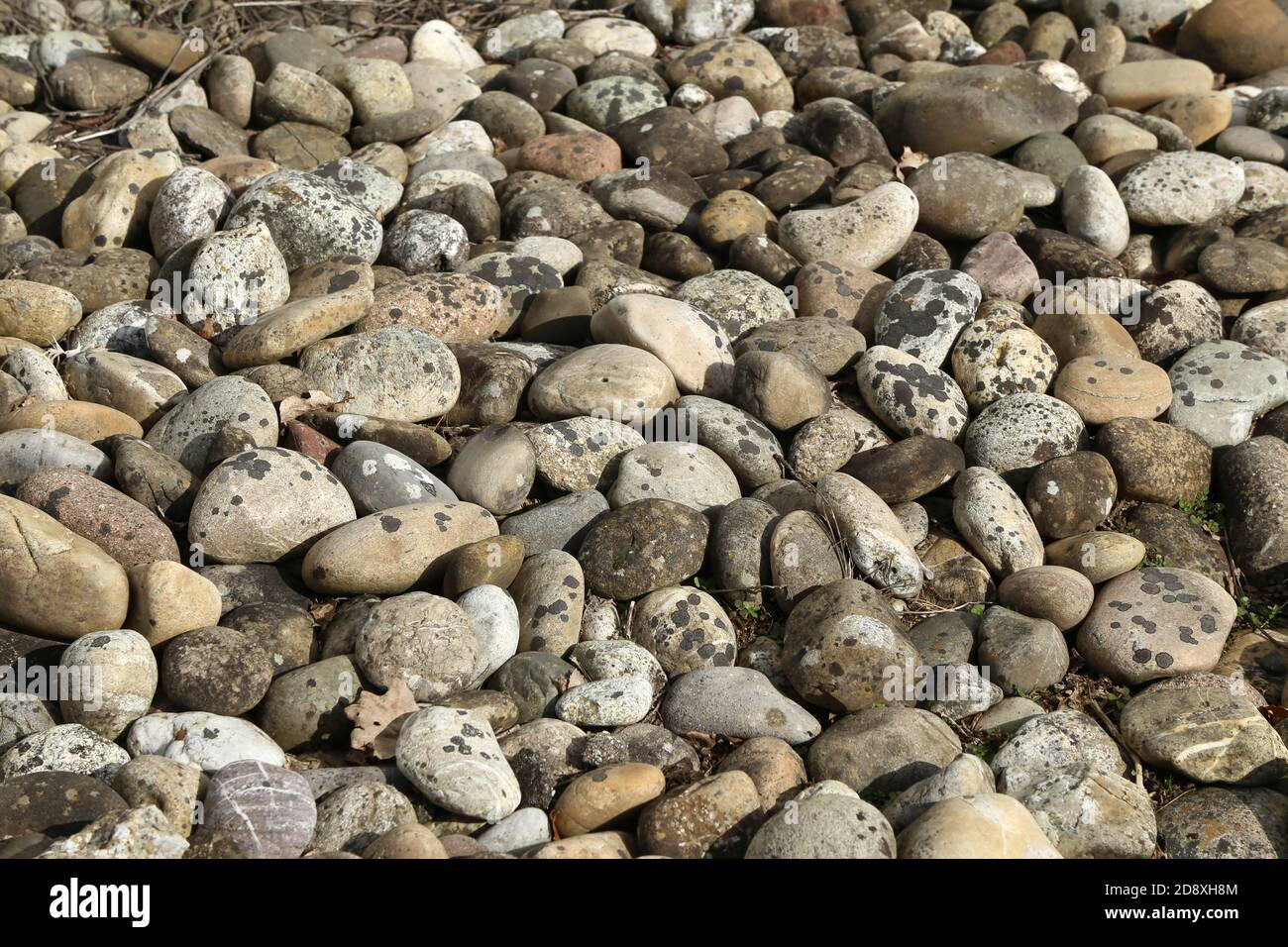 Closeup of pebbles on the ground under the sunlight - great for ...