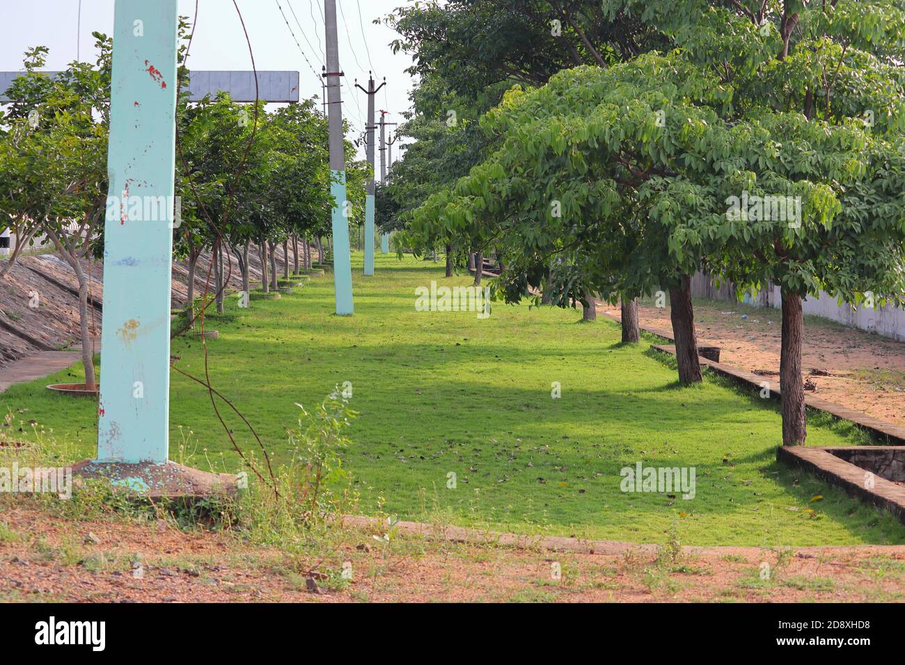 utility poles of power line passing through trees, india Stock Photo ...