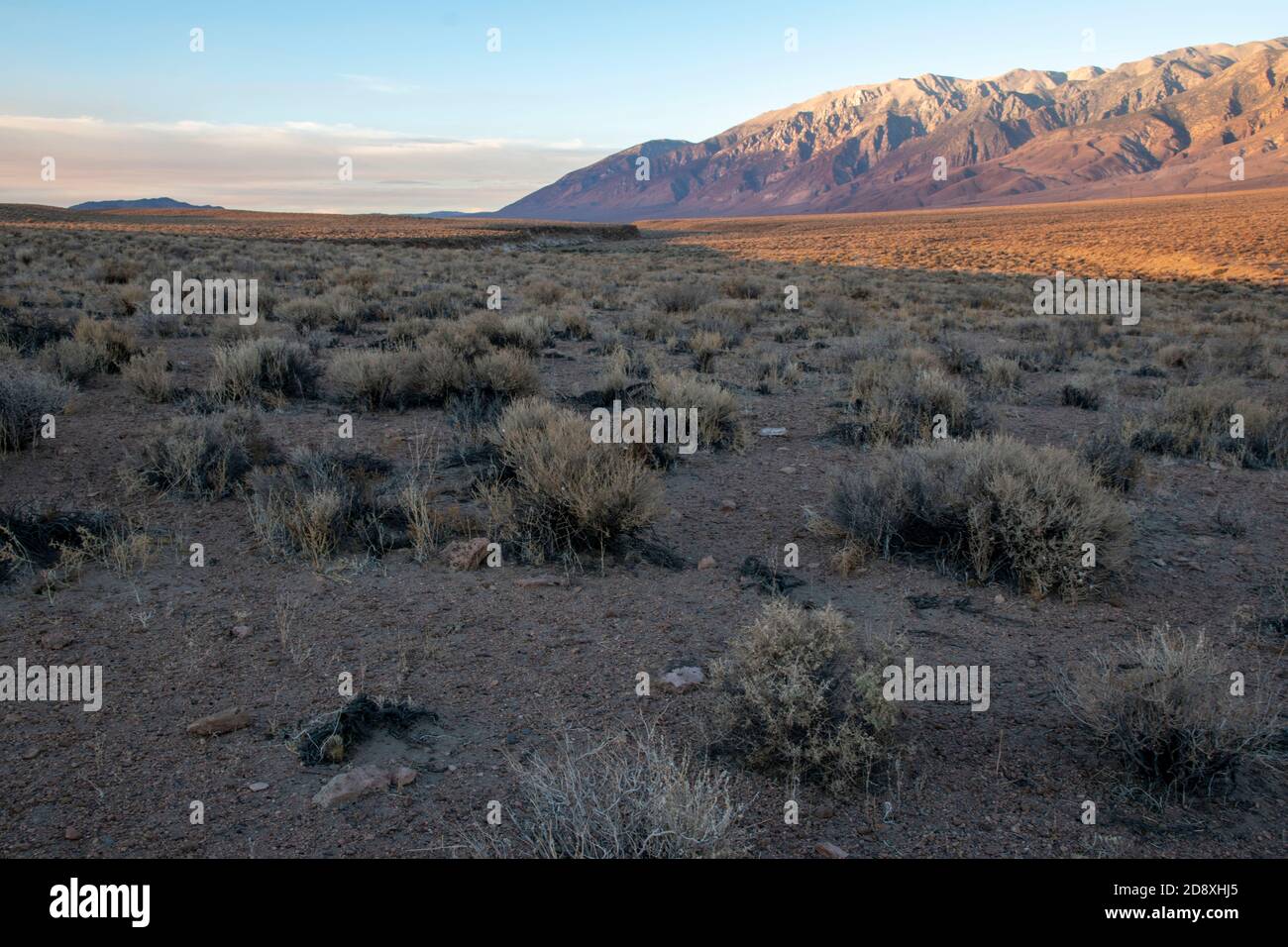 The Bishop Petroglyphs in the Volcanic Tablelands of the Eastern Sierra ...