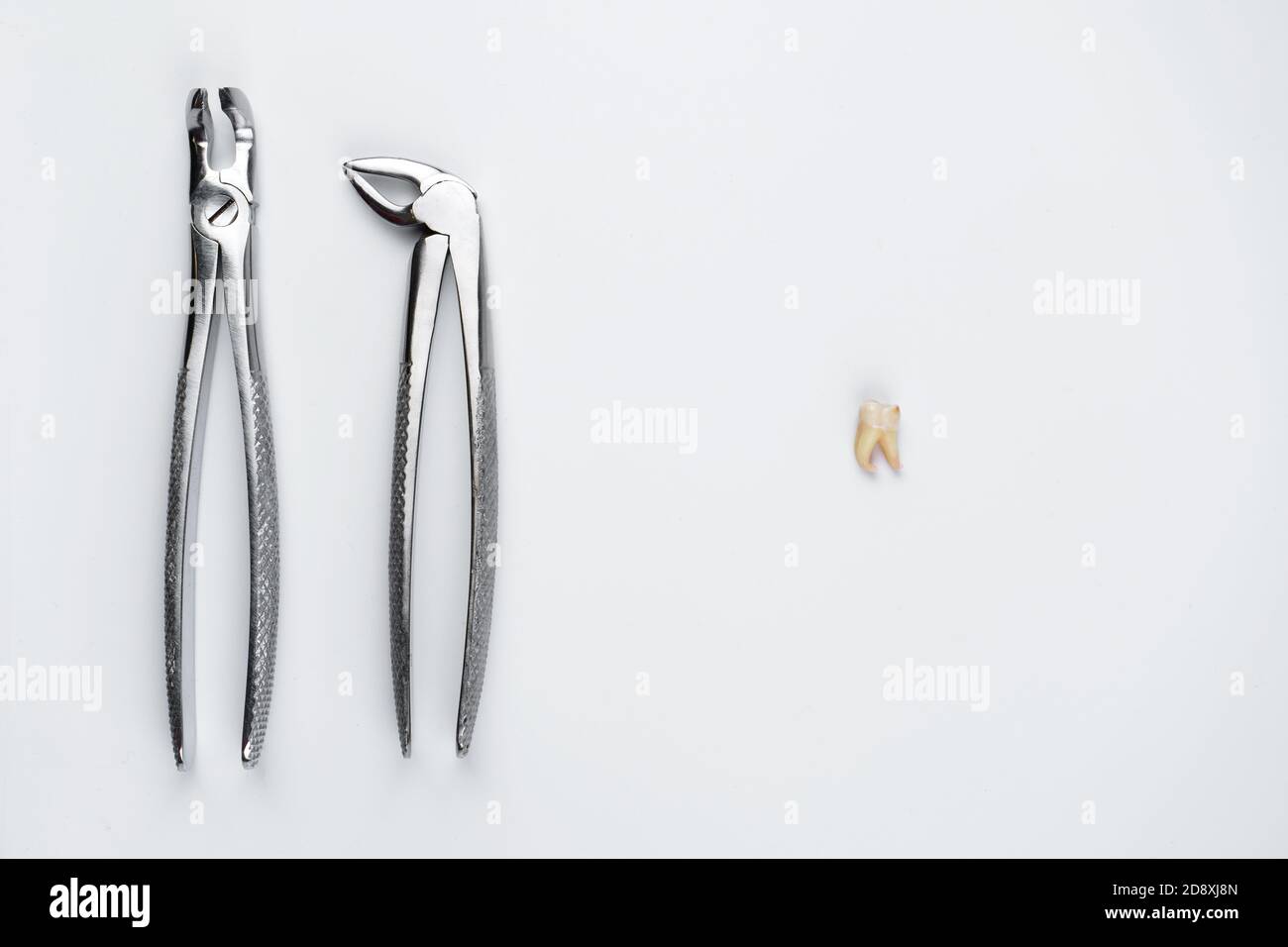 Shot of two dental forceps with tooth on isolated white background ...