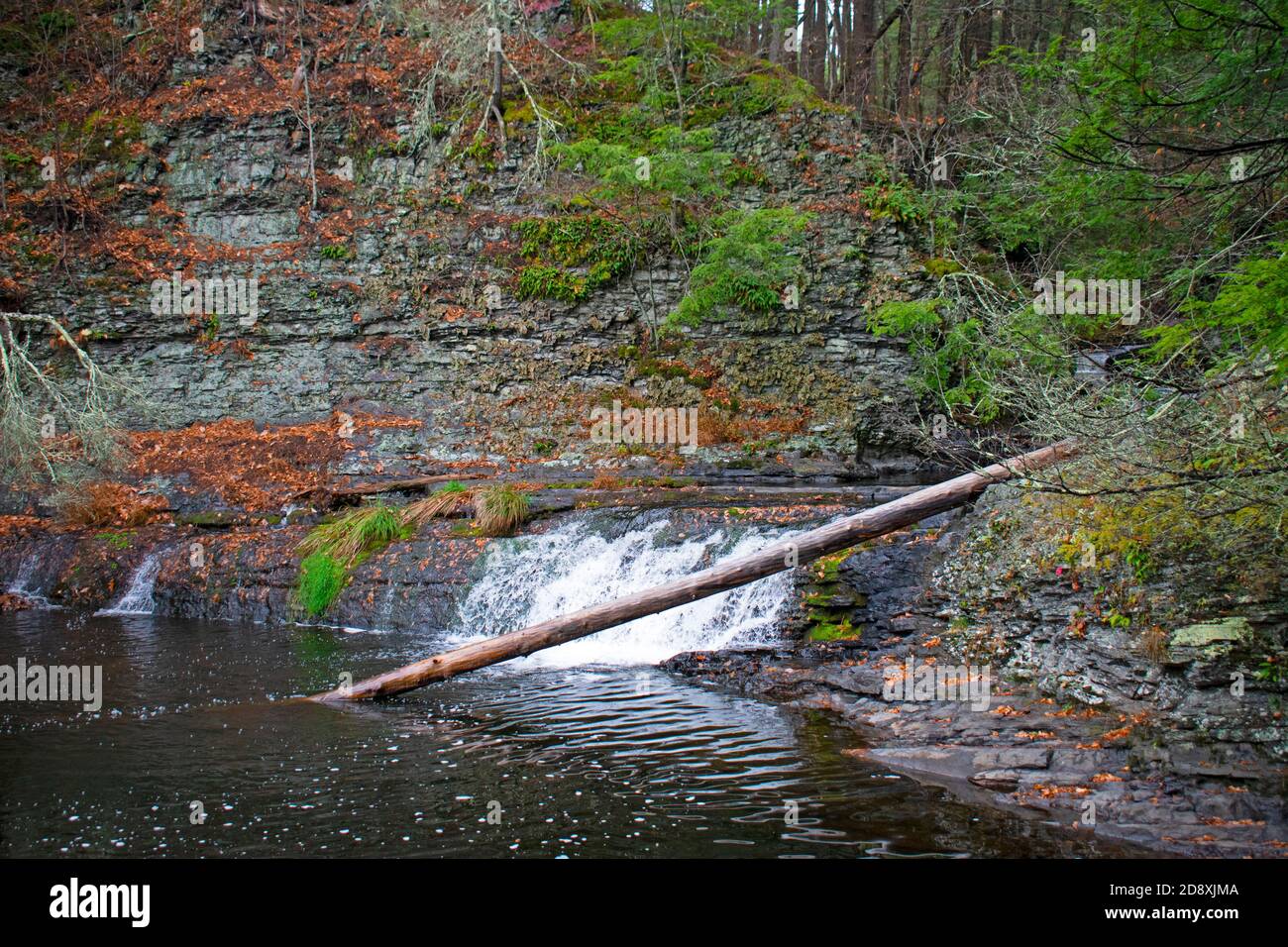 Water rushing down Raymondskill Falls, a series of waterfalls in ...
