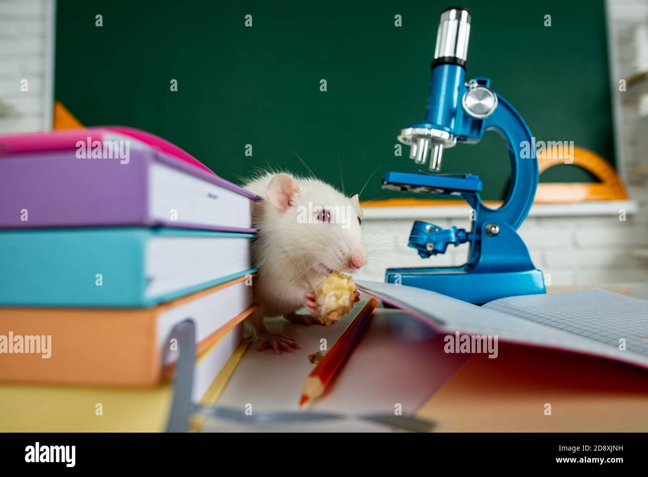 Design for book library, learning, education. Concept for university ...