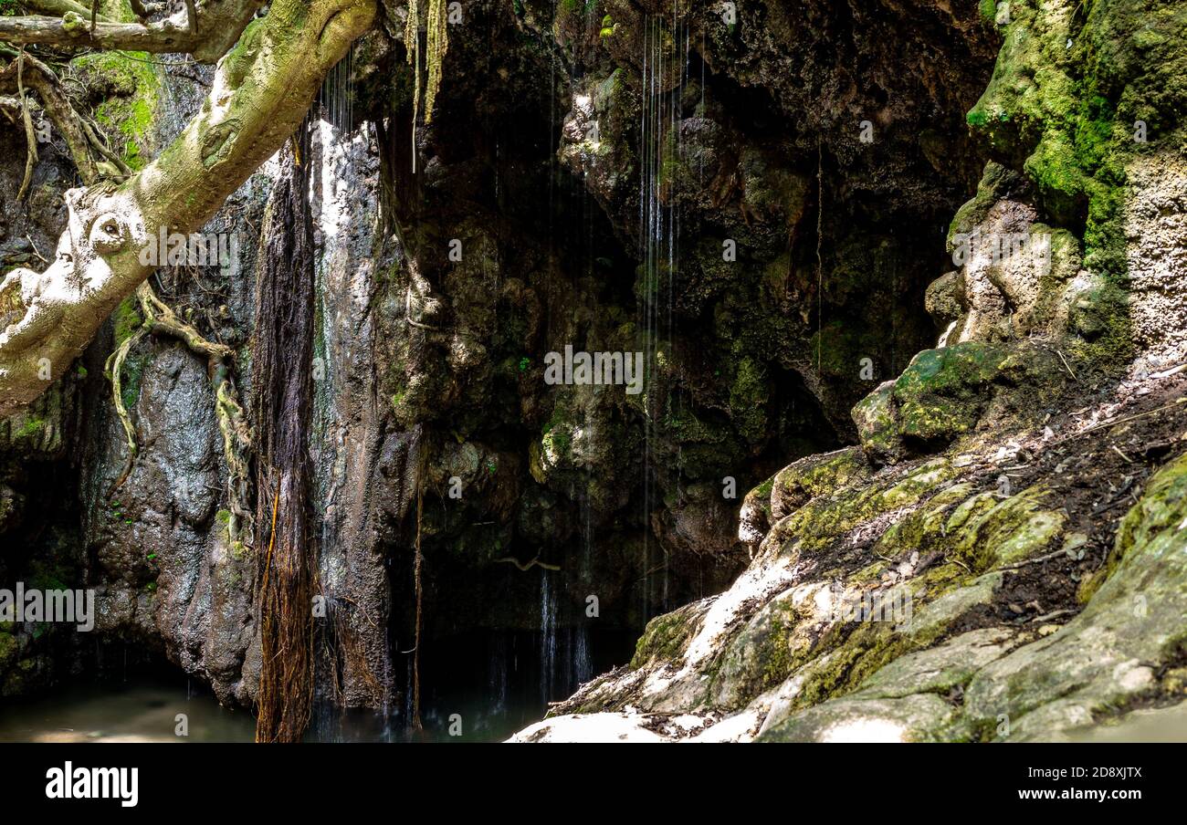 Water jets in the Baths of Aphrodite waterfall on the island of Cyprus ...