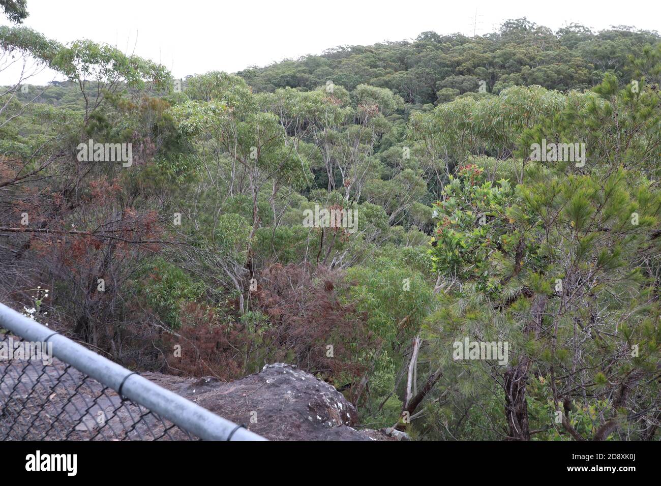 The Great North Walk through Berowra Valley Regional Park, Sydney, NSW ...