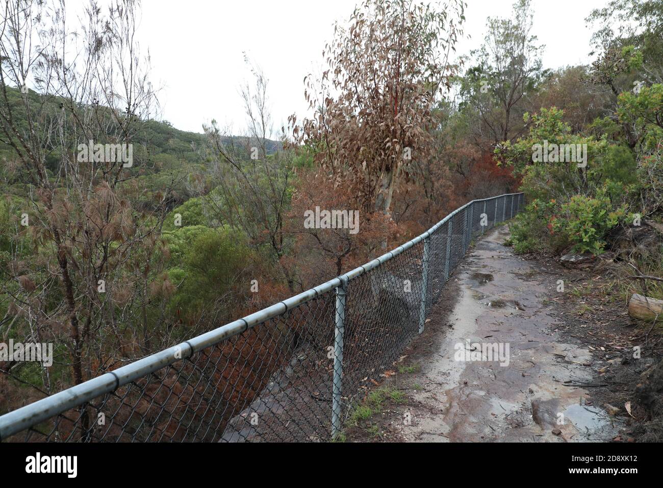 The Great North Walk through Berowra Valley Regional Park, Sydney, NSW ...