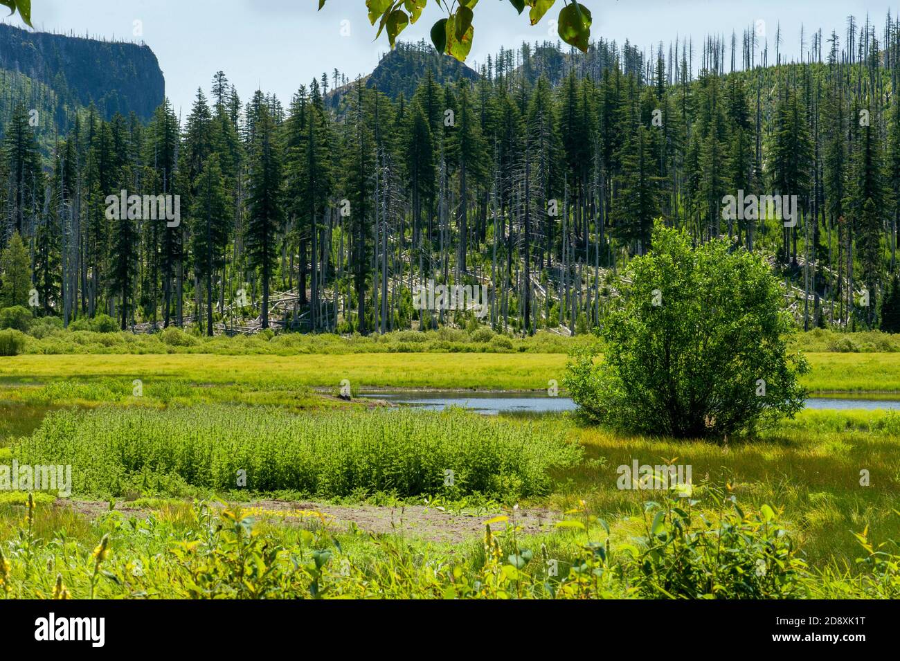 Pass santiam hi-res stock photography and images - Alamy
