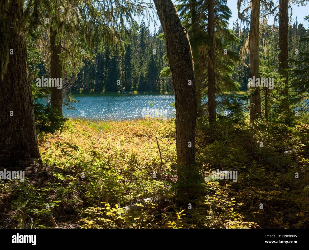 Timpanogas lake oregon hi-res stock photography and images - Alamy