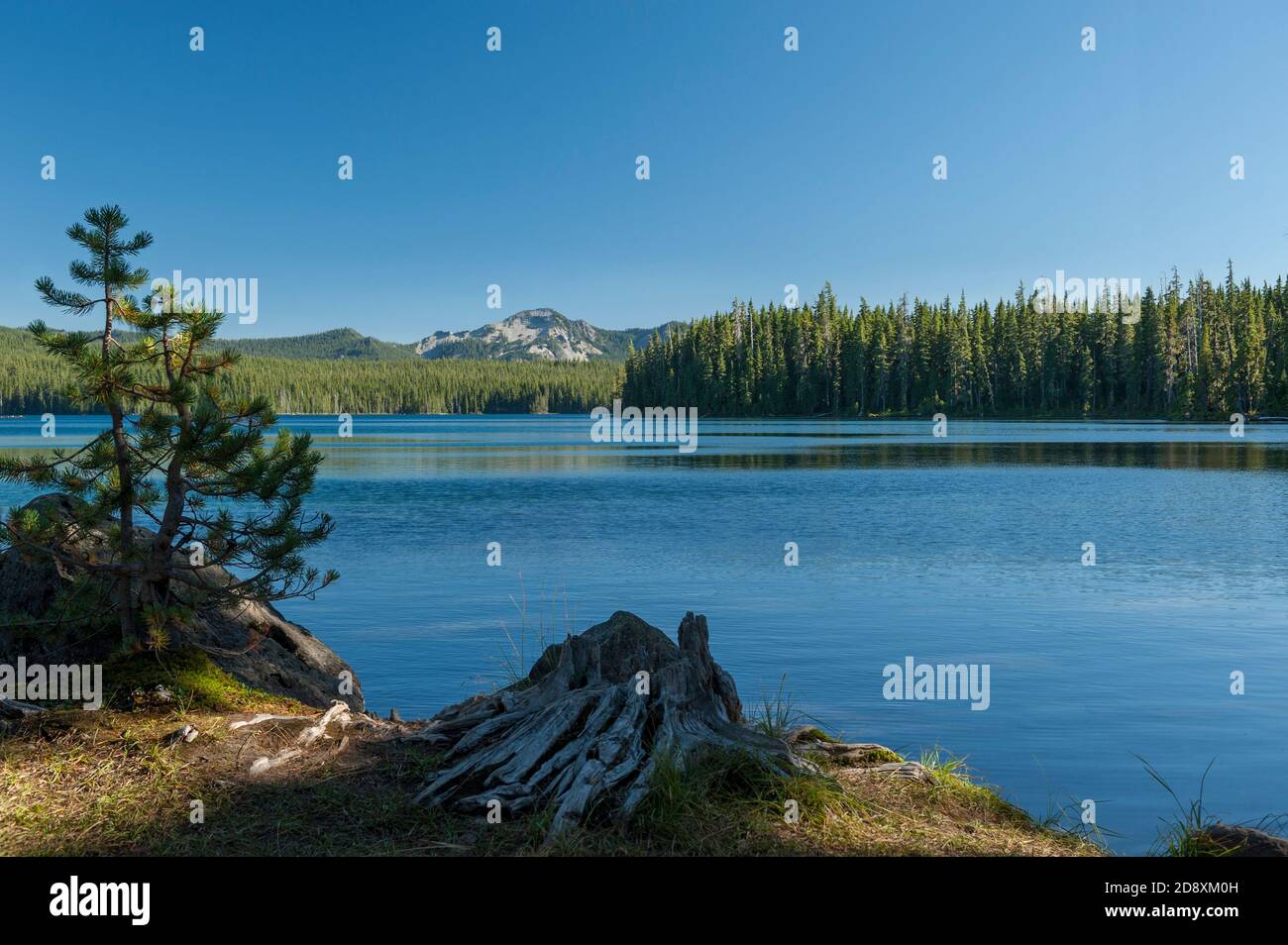 Oregon's Summit Lake, at the top of the Cascades Range, and Sawtooth ...