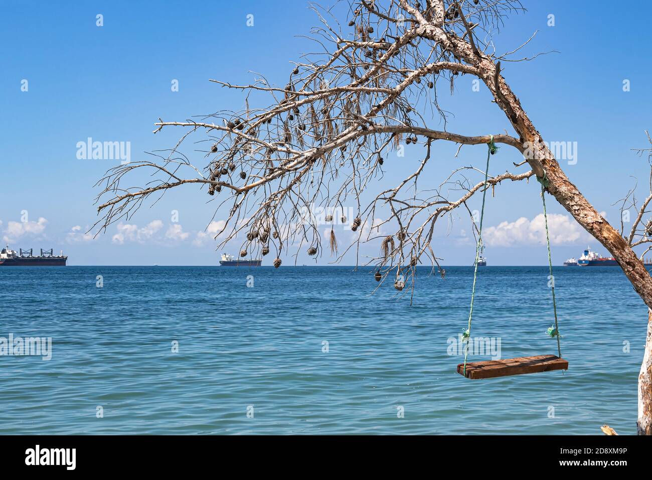 Summer sea view, swings on a fallen tree and cargo ships. Homemade sea ...