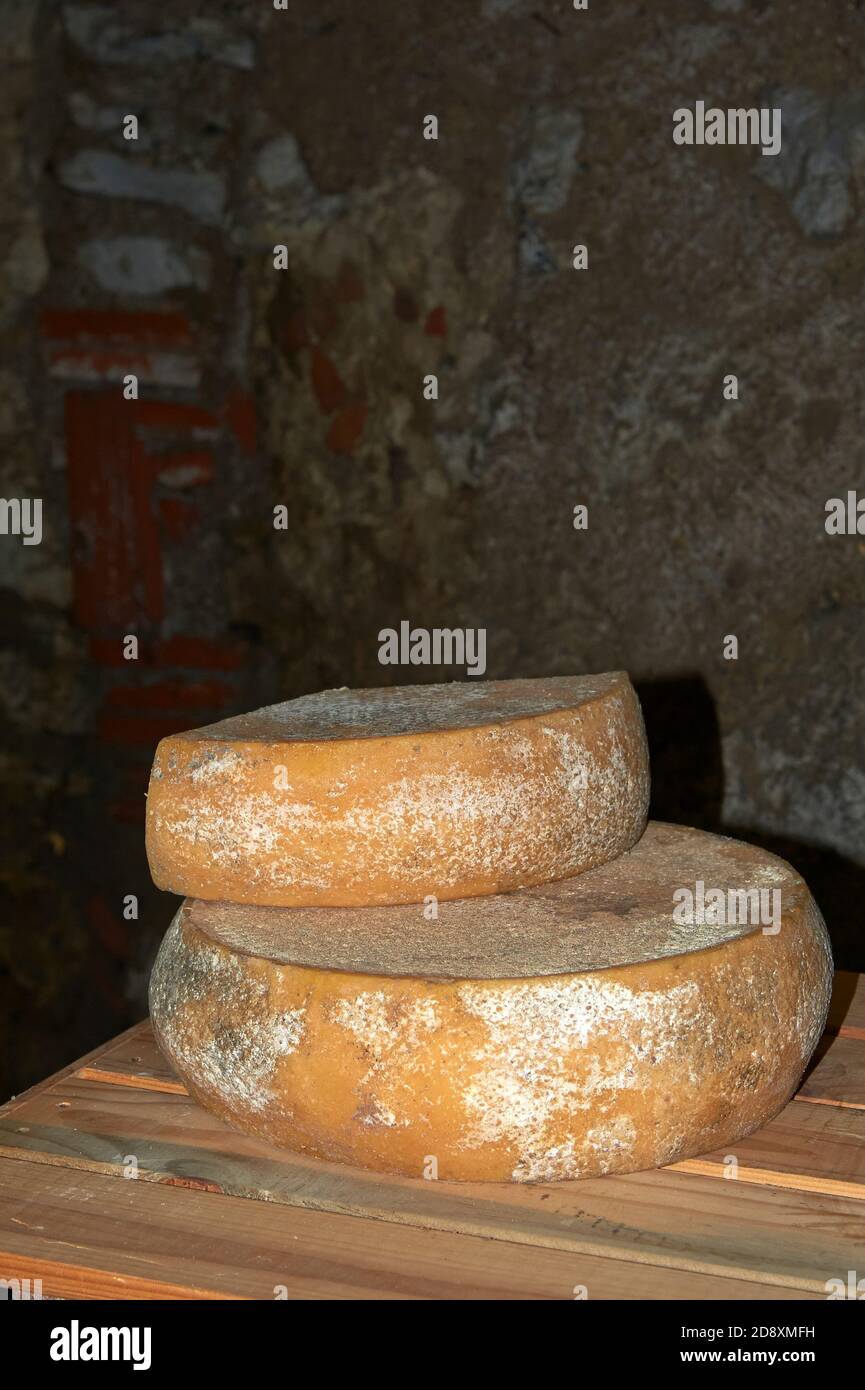 Cow cheeses hi-res stock photography and images - Alamy
